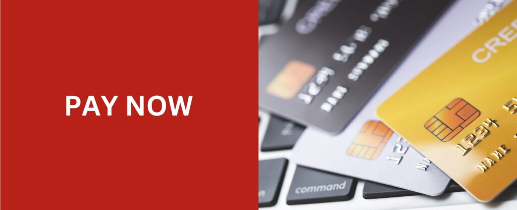 Pay Now – Cetacea University